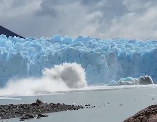 Glacier Melt Threatening Alpine Biodiversity