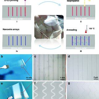 Flow Diagram For The Removal Of Silicon Oil And Structures Fabricated Download Scientific