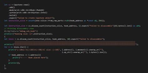 rust lang veh hooking module