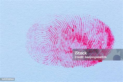 빨간 지문 흰 종이에 빨간 지문 배경으로 피 묻은 지문 매크로 집게 손가락의 각인 0명에 대한 스톡 사진 및 기타 이미지 0명 5g Code Pink Istock