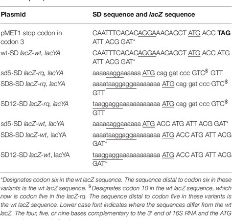 Table 1 From Occlusion Of The Ribosome Binding Site Connects The