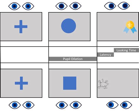 Introduction To Eye Tracking Devstart