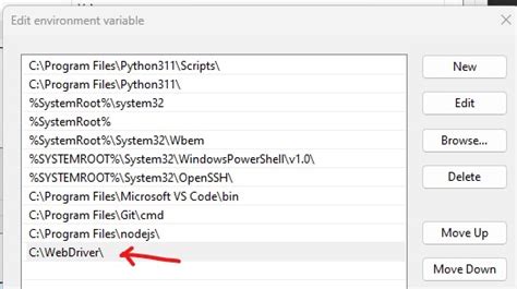 How To Install Chrome Webdriver In Selenium Python