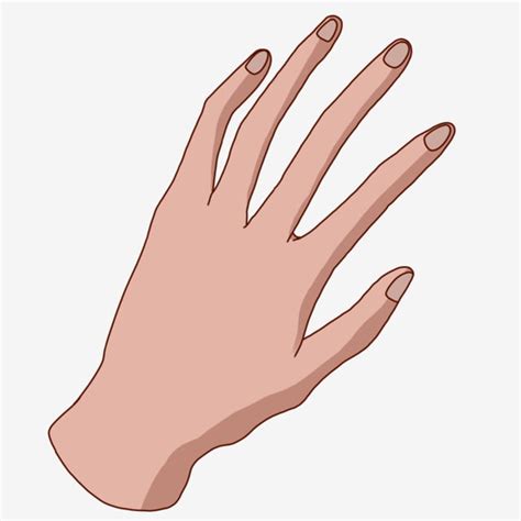 인간의 기관 손바닥 그림 일러스트 손가락 손바닥 실무 능력 인간의 Png 일러스트 및 Psd 이미지 무료 다운로드 Pngtree