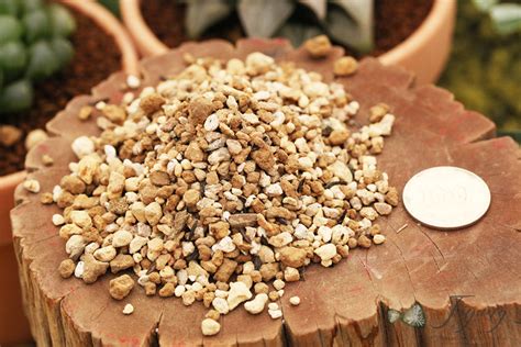 지양하월시아 다육식물 분갈이 흙 다육이 흙 하월시아 흙 지양하월시아