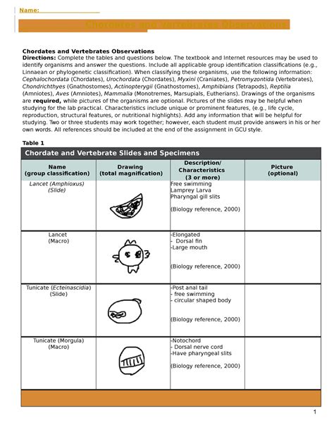Chordates And Vertebrates Observations Chordates And Vertebrates