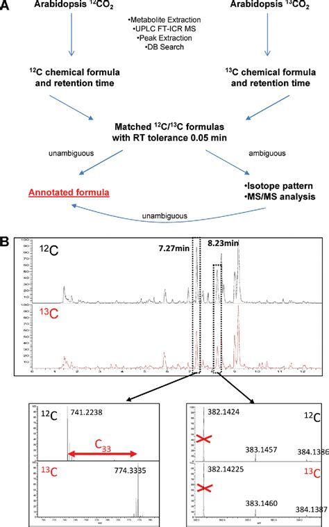 Figure 1 From 13c Isotope Labeled Metabolomes Allowing For Improved