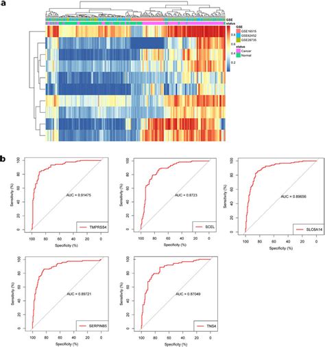 identification of key genes for diagnosis of pc a hierarchical