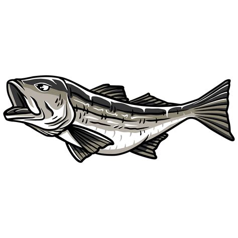 Striped Bass Performance Cap American Saltwater Guides Association