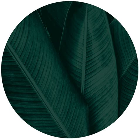 Blog The Winsberg At Green Cay