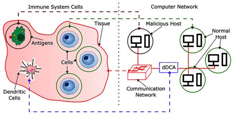 Multiresolution Dendritic Cell Algorithm For Network Anomaly Detection