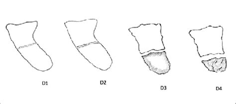 Filan And Herbert Classification 12 Download Scientific Diagram