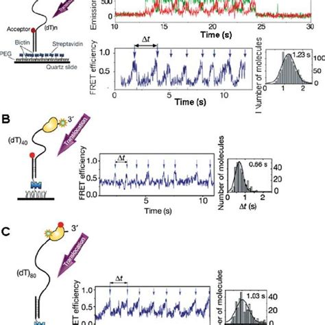 Pdf Single Molecule Fret Methods And Biological Applications