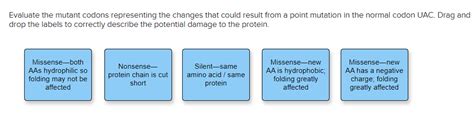 Solved Evaluate The Mutant Codons Representing The Changes Chegg Com