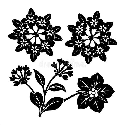 Colorful Indian Cress Illustration In Vector Style Featuring Bold