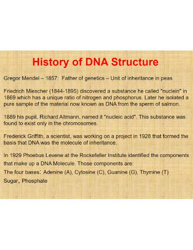 13 Nucleic Acids Examples