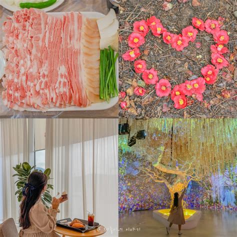 여수 당일치기 여행 코스 녹테마레 포함 꼭 가볼만한곳 네이버 블로그