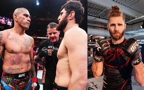 Magomed Ankalaev Magomed Ankalaev Rips Jiri Prochazka After Alex