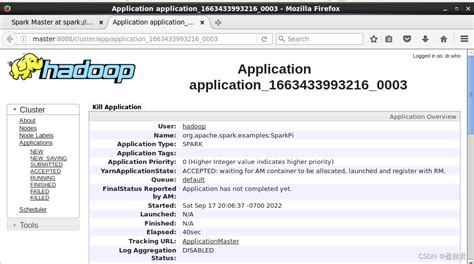 08：采用hadoop yarn管理器运行spark应用程序 yarn模式运行spark官方实例 csdn博客