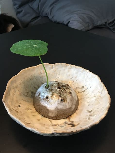 Ikebana kenzan og skål i 2024 | Porcelæn