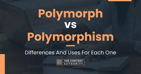 Templates Vs Polymorphism At Marilyn Millender Blog