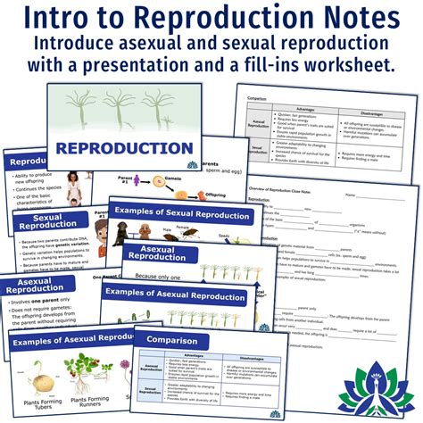 Asexual And Sexual Reproduction Notes And Quiz Flying Colors Science