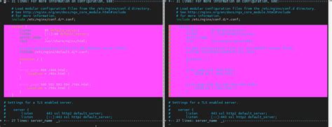 Linux Nginx Redirection Different With Ip Behavior On 2 Different