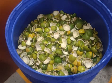 Sameera Satija Sustainabilitycoachsameera • Instagram Photos And Videos