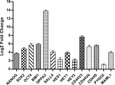 Expressional Analysis Of Stem Cell Markers Compared To The Control
