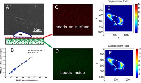 Experimental Validation Of Beads On Surface As An Indicator Of Download Scientific Diagram