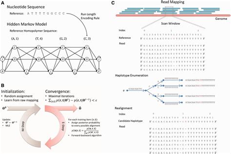 A The Topological Structure Of The Hmm The Hmm Takes An Input Of A Download Scientific