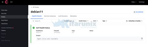 Install Consul Server On Debian 11 Debian 10 Kifarunix