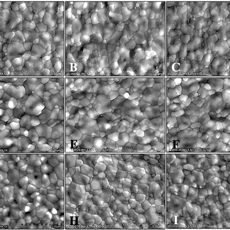Scanning Electron Microscope Image Indicated Grain Size And Grain