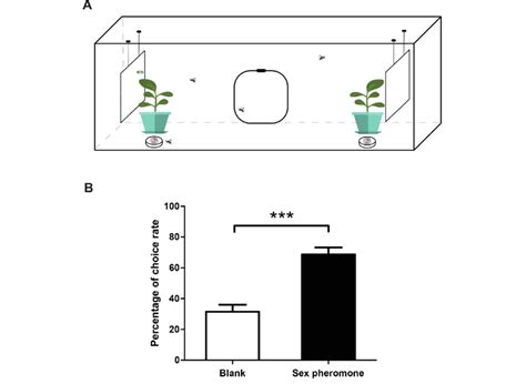 Behavior Choices Of Female M Mediator To Sex Pheromones Of A Segetum