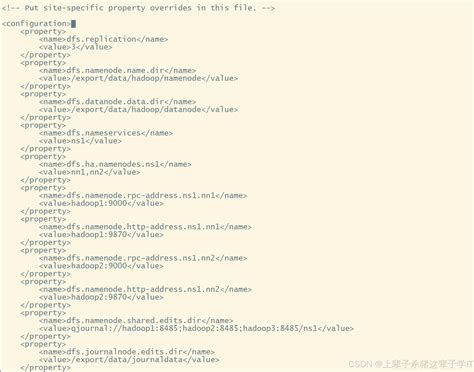 【hadoop高可用集群搭建】配置和启动hadoop高可用集群，解决单点故障问题 Csdn博客