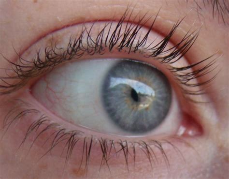 Birth Colors Blue Eye Color Female Eyes Eyes With Yellow