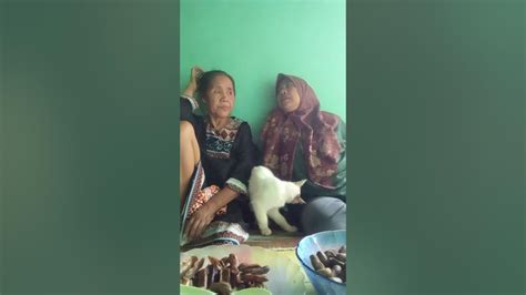 Ngerumpi bertiga sama si ema dan si apiin - YouTube