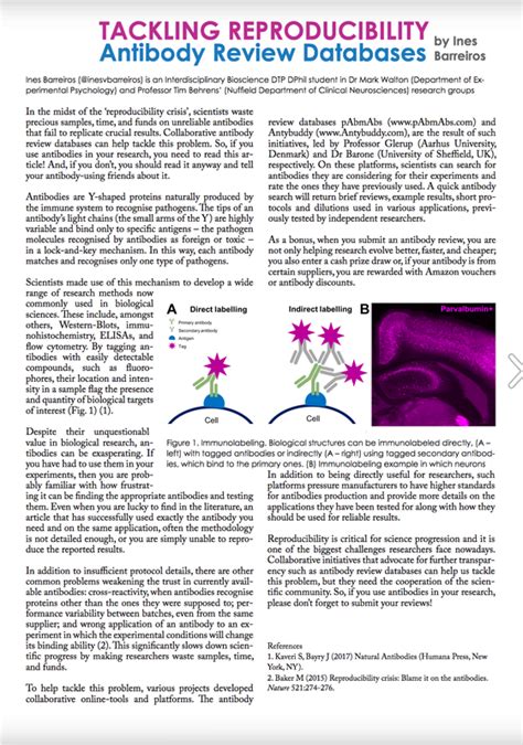 Tackling Reproducibility Antibody Review Databases