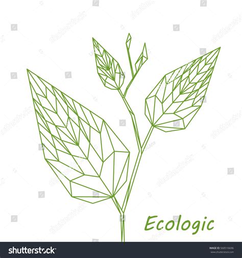 33072 Imágenes De Polygon Plants Imágenes Fotos Y Vectores De Stock