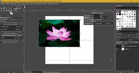 Configure This Tab Button On Gimp On Mac Senturinuc