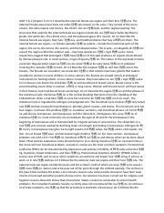 BIOL 310 UNIT 2 Docx UNIT 2 3 Chapter 3 LO 3 1 Describe The External Female Sex Organs And