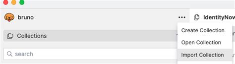 Bruno An Open Source Alternative To Postman ISC Community Knowledge Base SailPoint