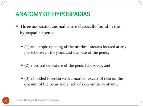Pediatric Urologyhypospadias Etiology Embryology Pdf