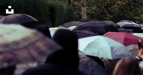 빗속에서 우산을 든 사람들 사진 Unsplash의 무료 비 이미지