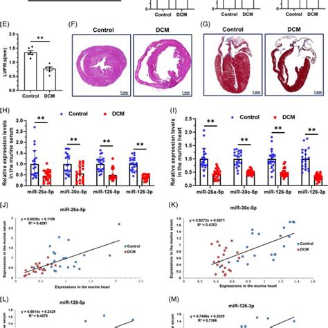 Profiling Of Circulating Micrornas Mirnas Closely Associated With