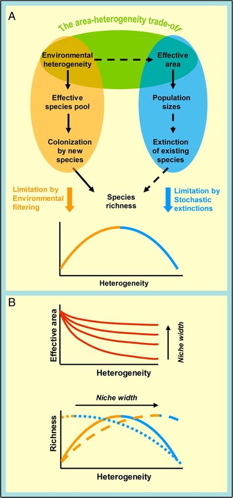 Areaheterogeneity Tradeoff And The Diversity Of Ecological Communities Pnas