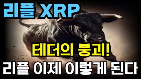 리플 앞으로 이렇게 움직일겁니다 Youtube