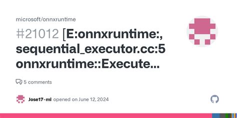 Eonnxruntime Sequentialexecutorcc516 Onnxruntimeexecutekernel Non Zero Status Code
