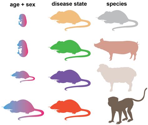 Research DYnamic NAnoMEDicines Lab