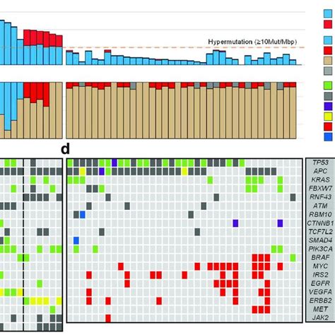Mutational Landscape Of Early Onset Colorectal Cancer A Mutation Download Scientific Diagram